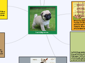 los perros - Mind Map